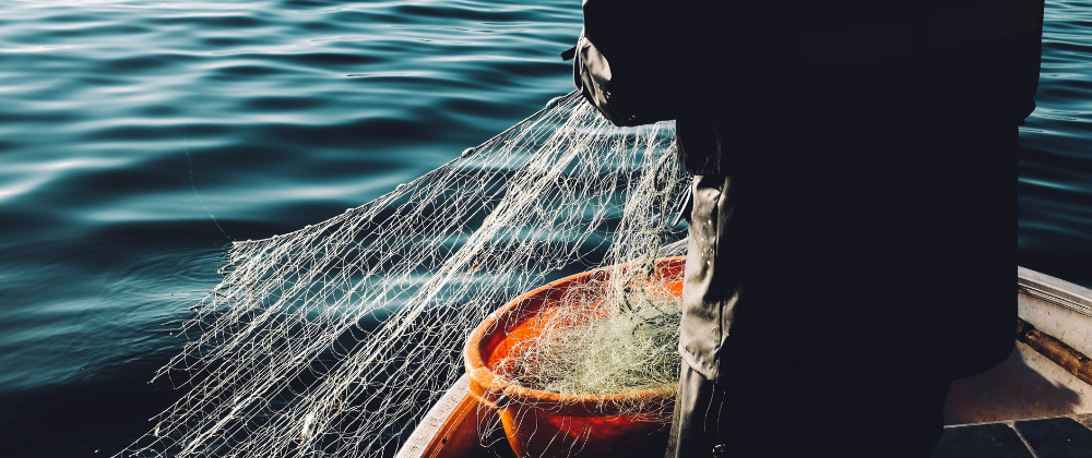 Fishing in Croatia: lakes, fish species, and helpful tips